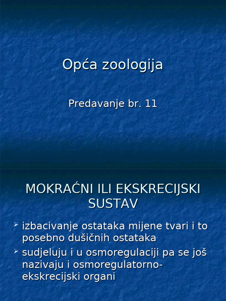 OZ - Predavanje Br. 11 | PDF