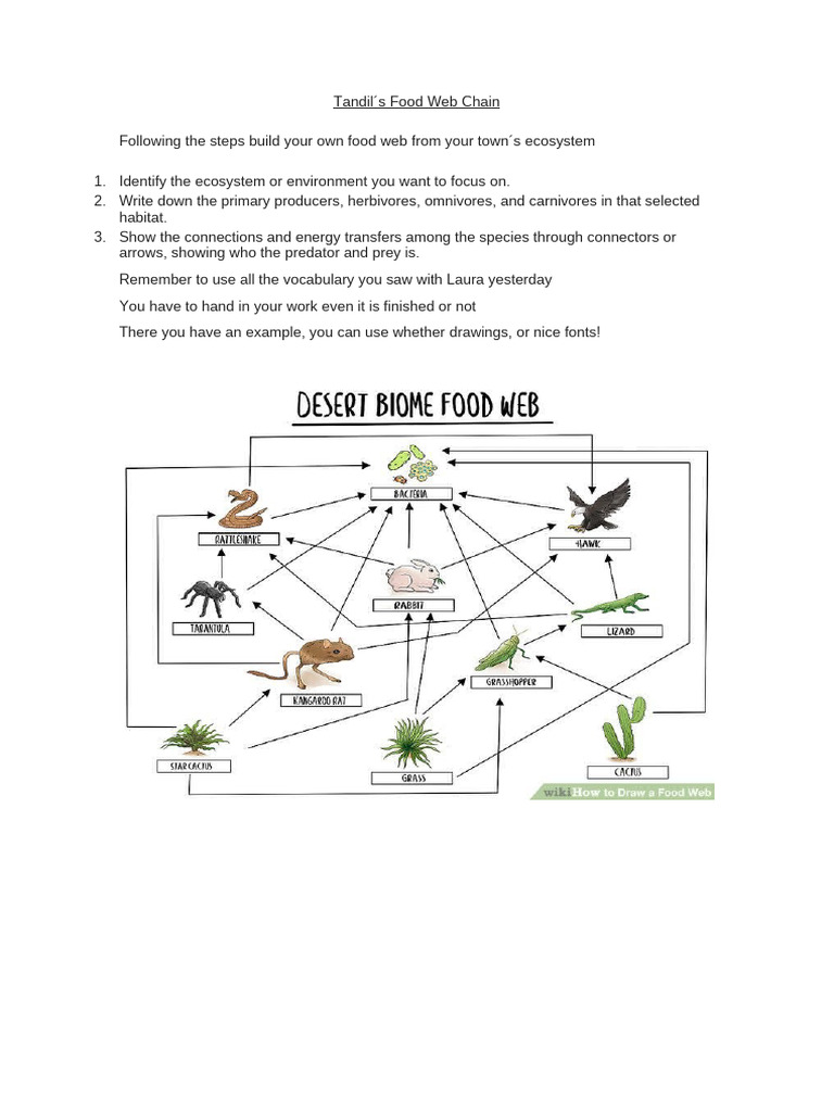 Tandil S Food Web | PDF