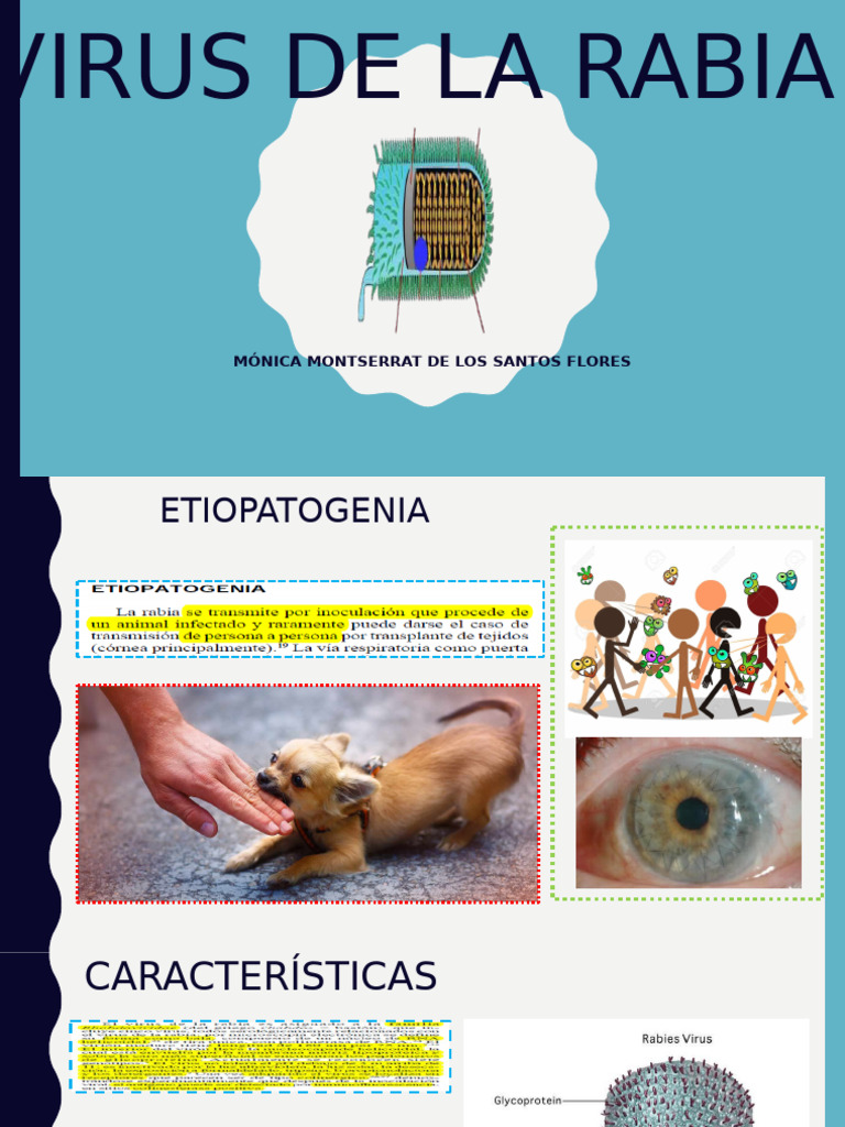 Virus de La Rabia 2 | PDF