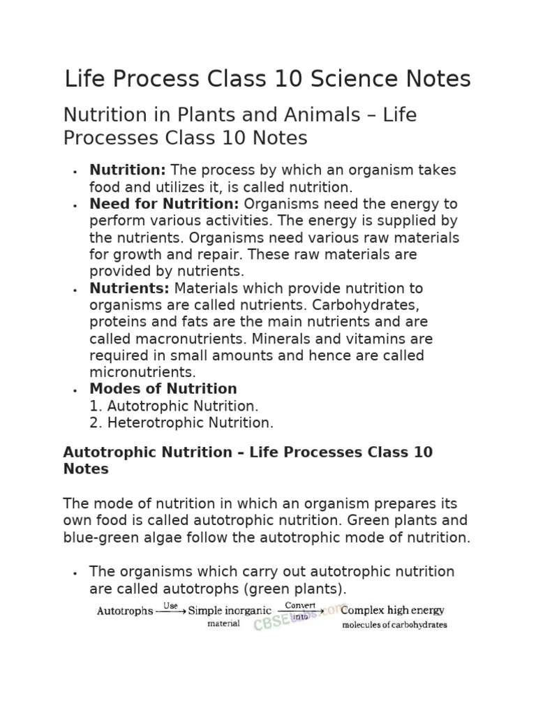 Life Process Class 10 Science Notes | PDF | Cellular Respiration ...