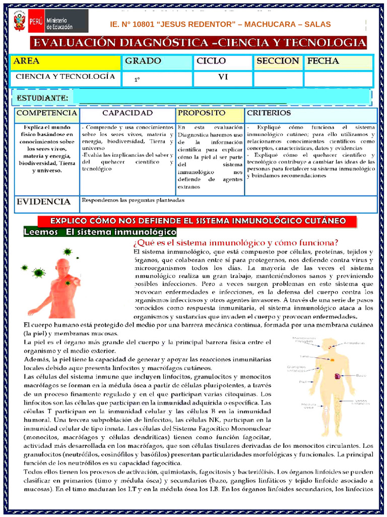 EVALUACION DIAGNOSTICA -1ERO Y 2DO GRADO-CIENCIA Y TECNOLOGIA_00001 | PDF