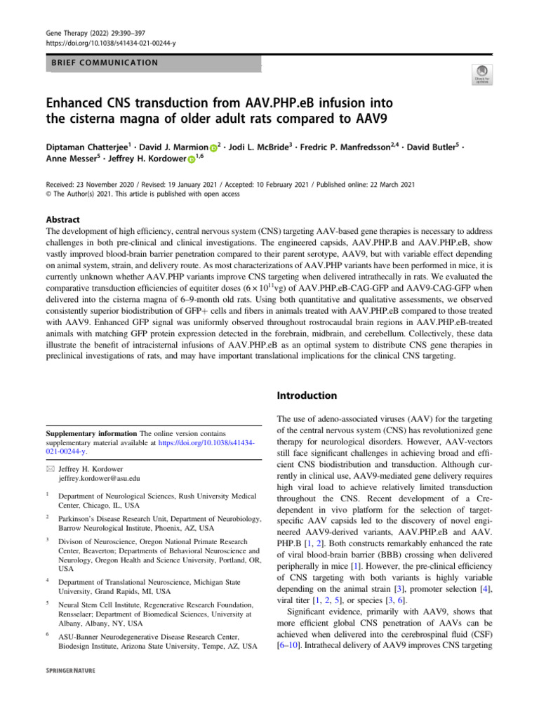 Broad CNS AAV PHPeB Cisterna Magna Rats | PDF | Cerebrospinal Fluid ...