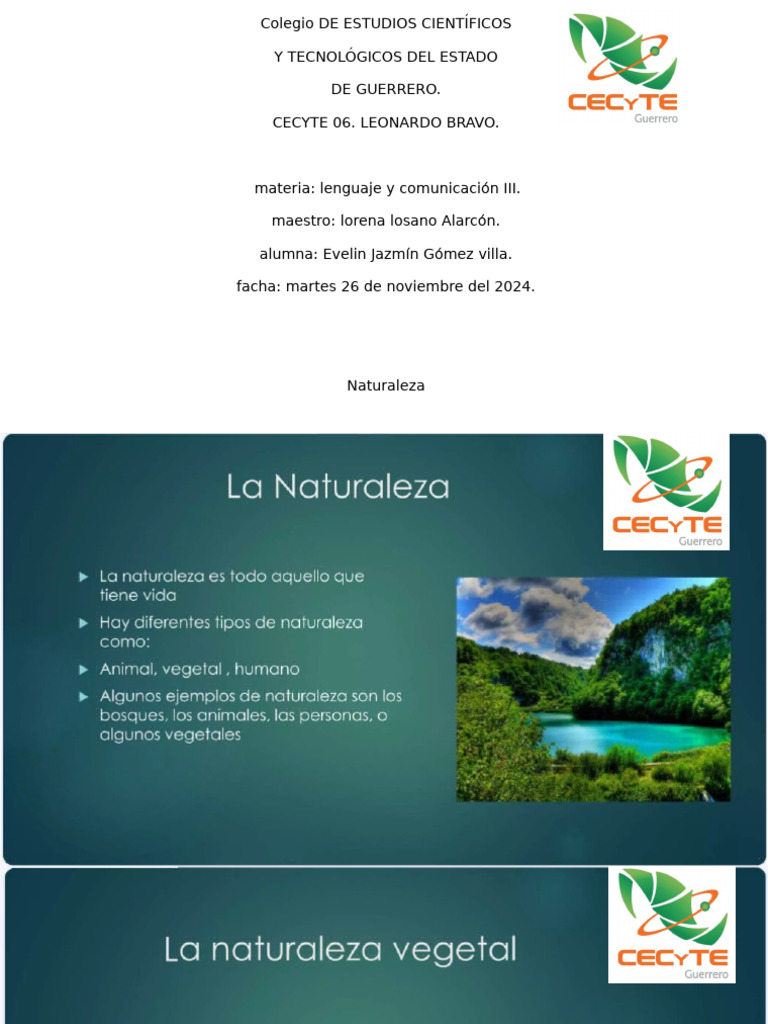 YAZMIN | PDF