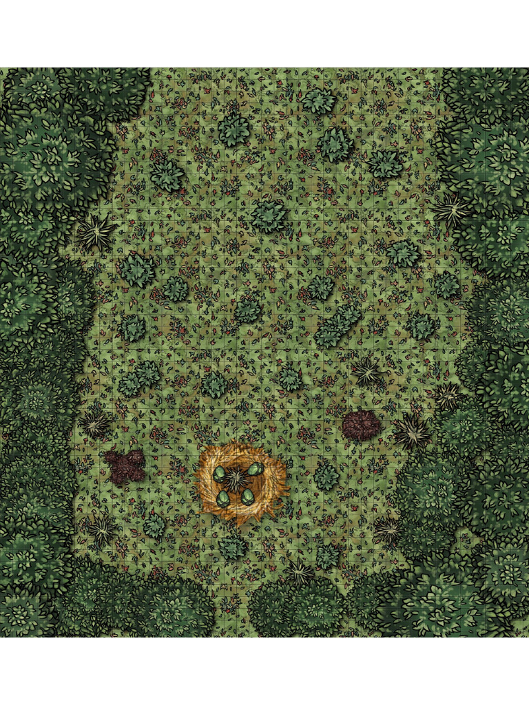 Map Forest Print | PDF