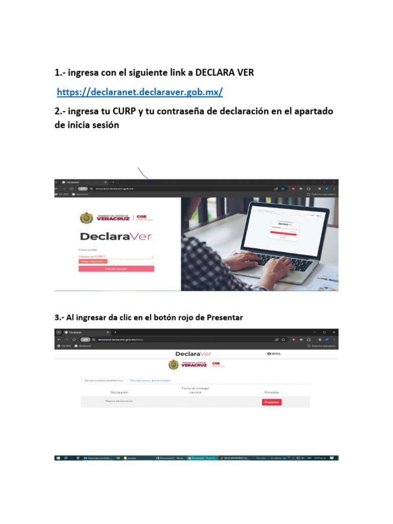 Manual Declaranet 2 | PDF