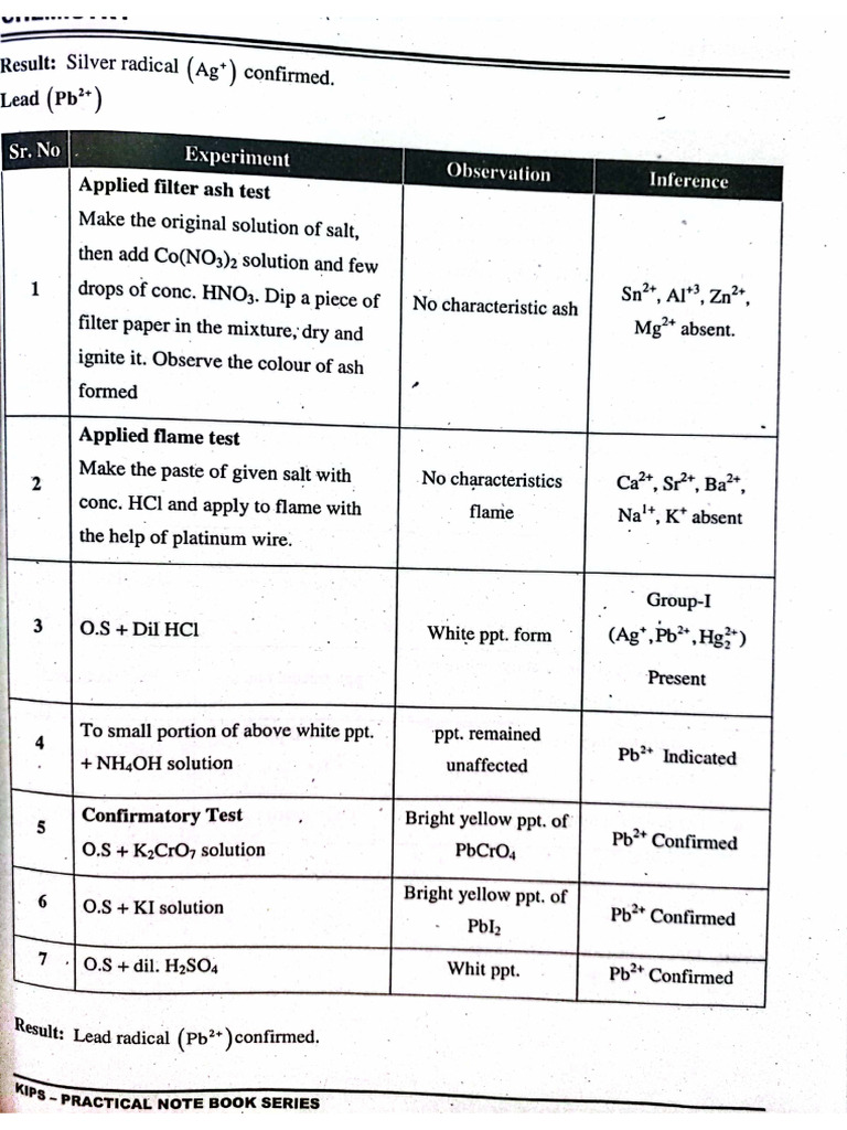 Basic Radicals | PDF