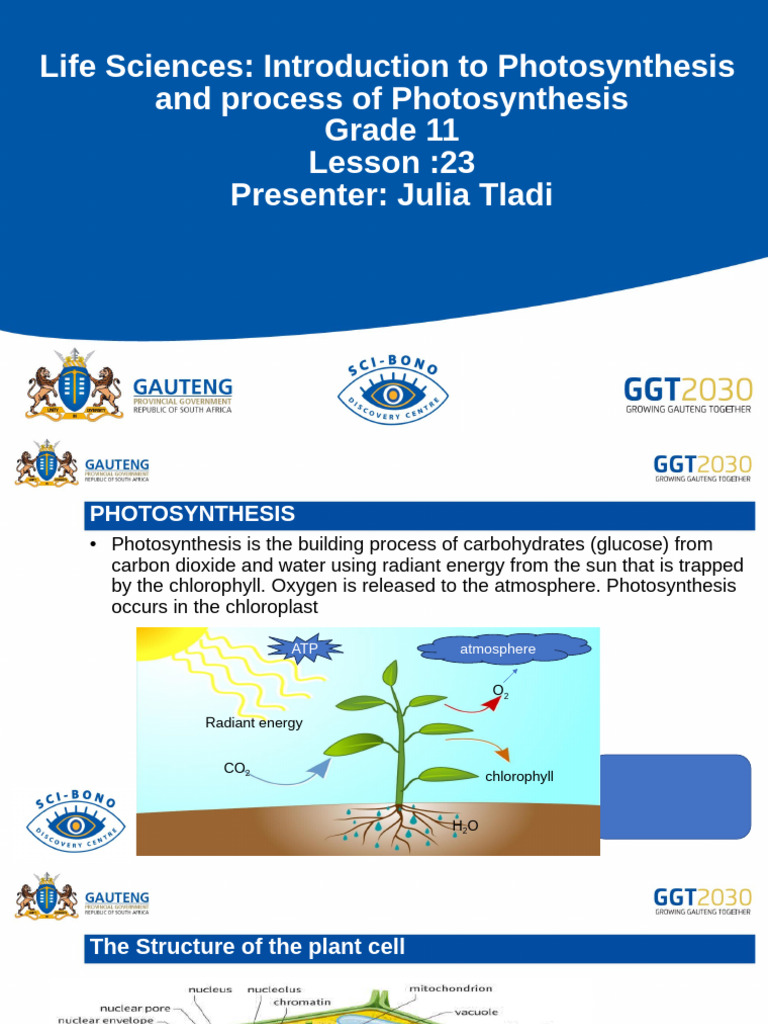LESSON 23 INTRODUCTION TO PHOTOSYNTHESIS AND THE PROCESS OF ...