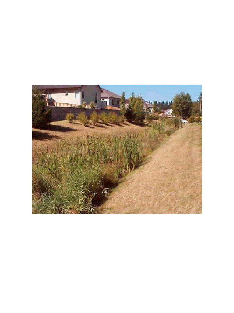 DCR BMP Spec No 11 - WET SWALE - Final Draft - v1 9 - 03012011 | PDF ...