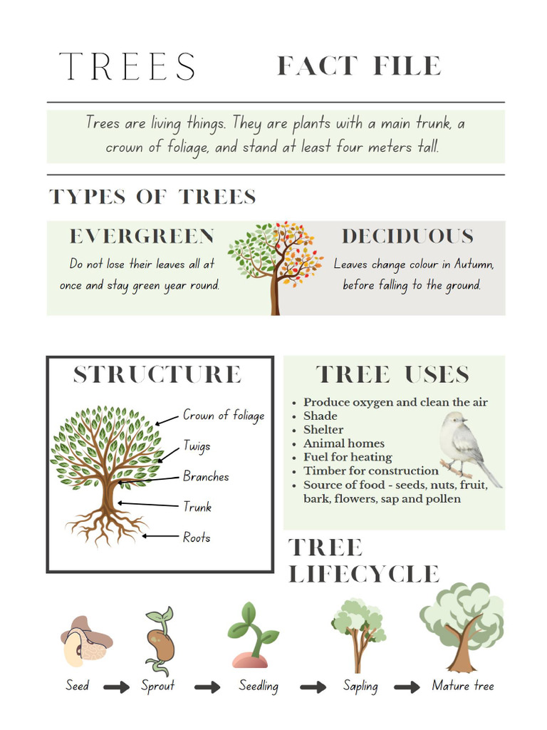 Tree Facts | PDF