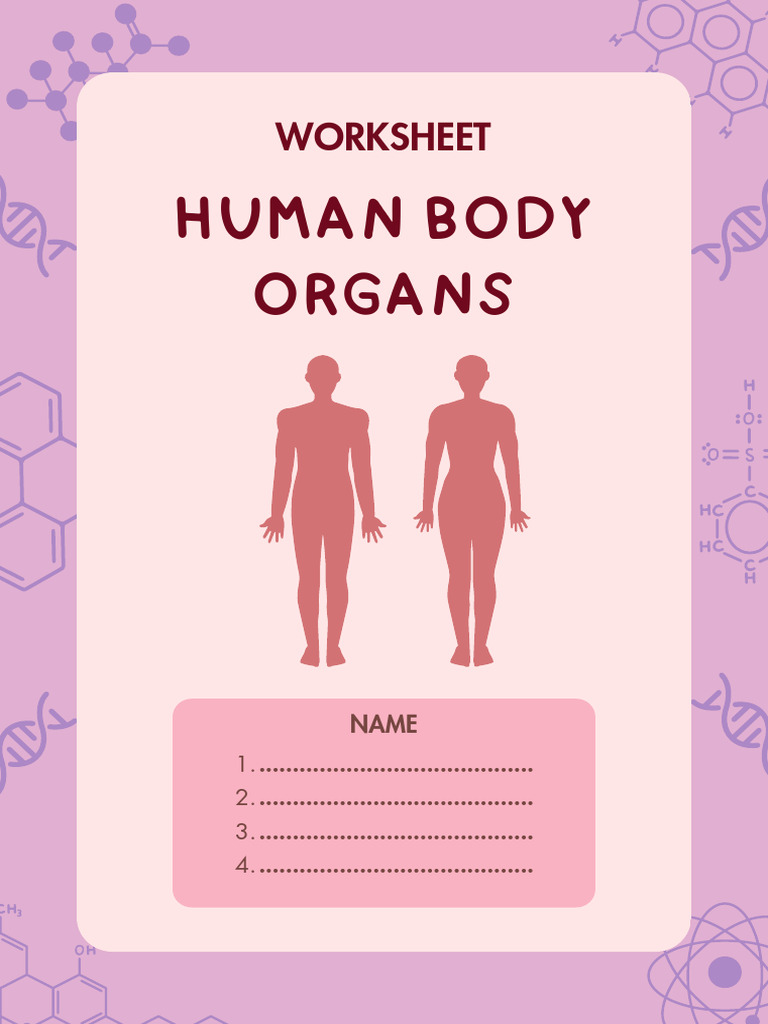 Minimalist Pink Human Body Organs Biology Worksheet | PDF