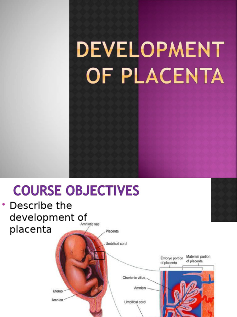 Development of Placenta | PDF | Placenta | Fetus