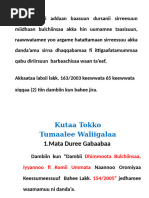 Formaatii Gabaasa Torbee Lama. | PDF