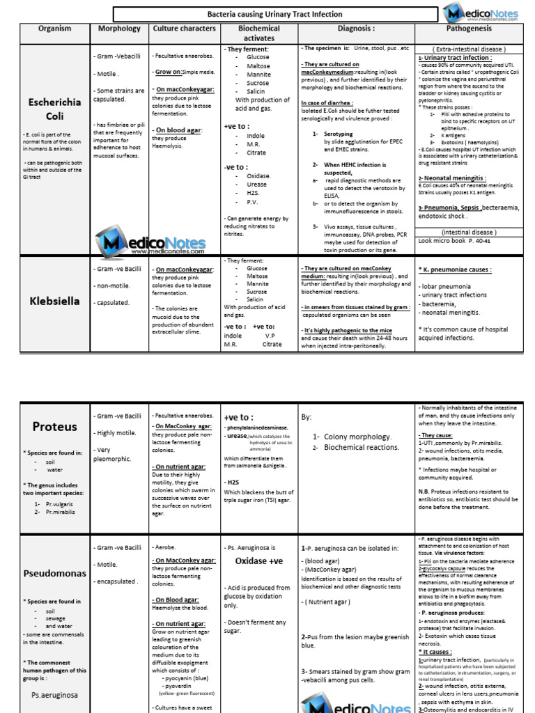 Organisms Causing UTI & Their Characteristics - MedicoNotes | PDF ...