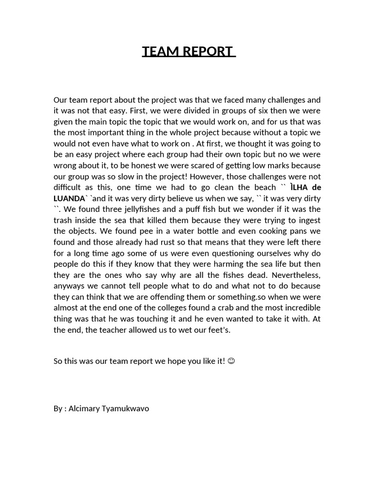 Team Report on Beach Cleanup Project | PDF