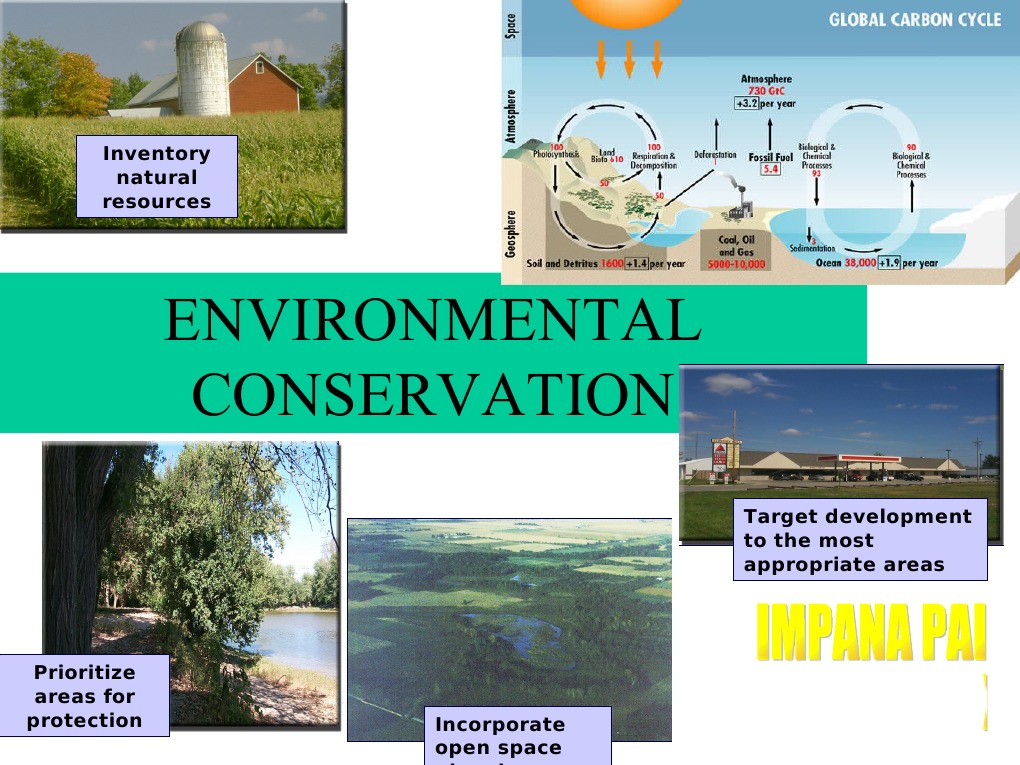 Environmental Conservation Strategies | PDF | Conservation Biology ...