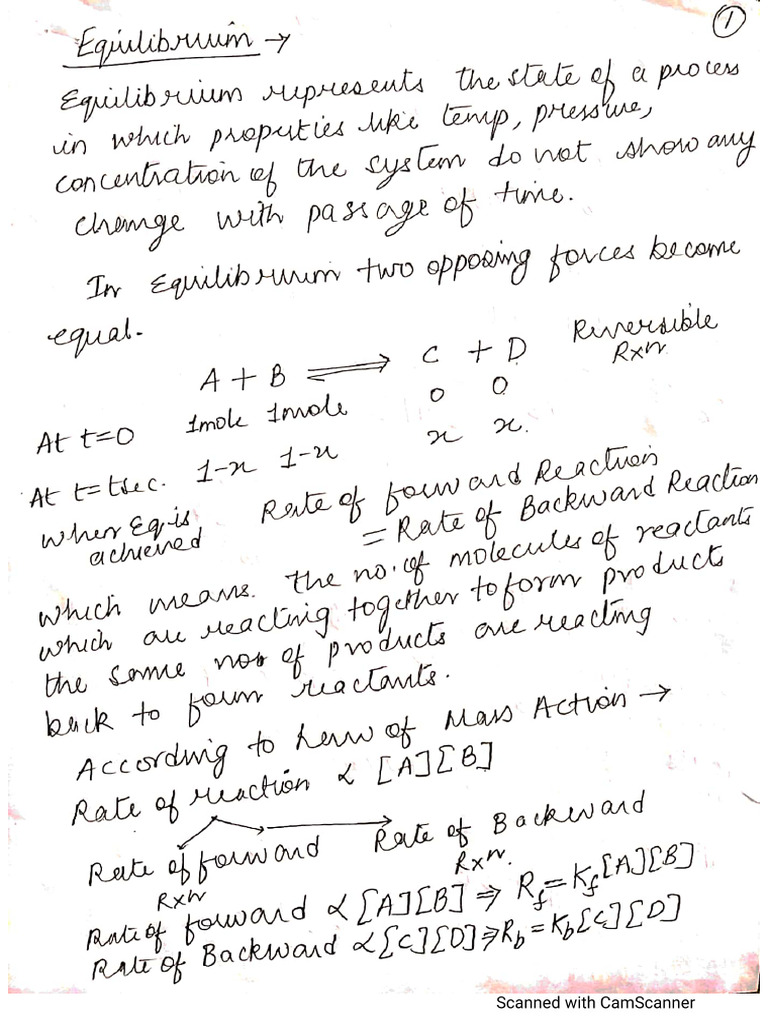 Equilibrium Notes | PDF
