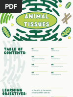 Animal Tissue Grade 10 Term 3 Notes Summaries | PDF