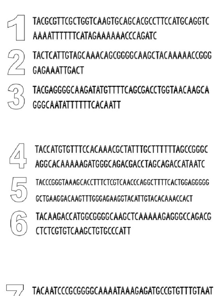 All Clues For SH | PDF