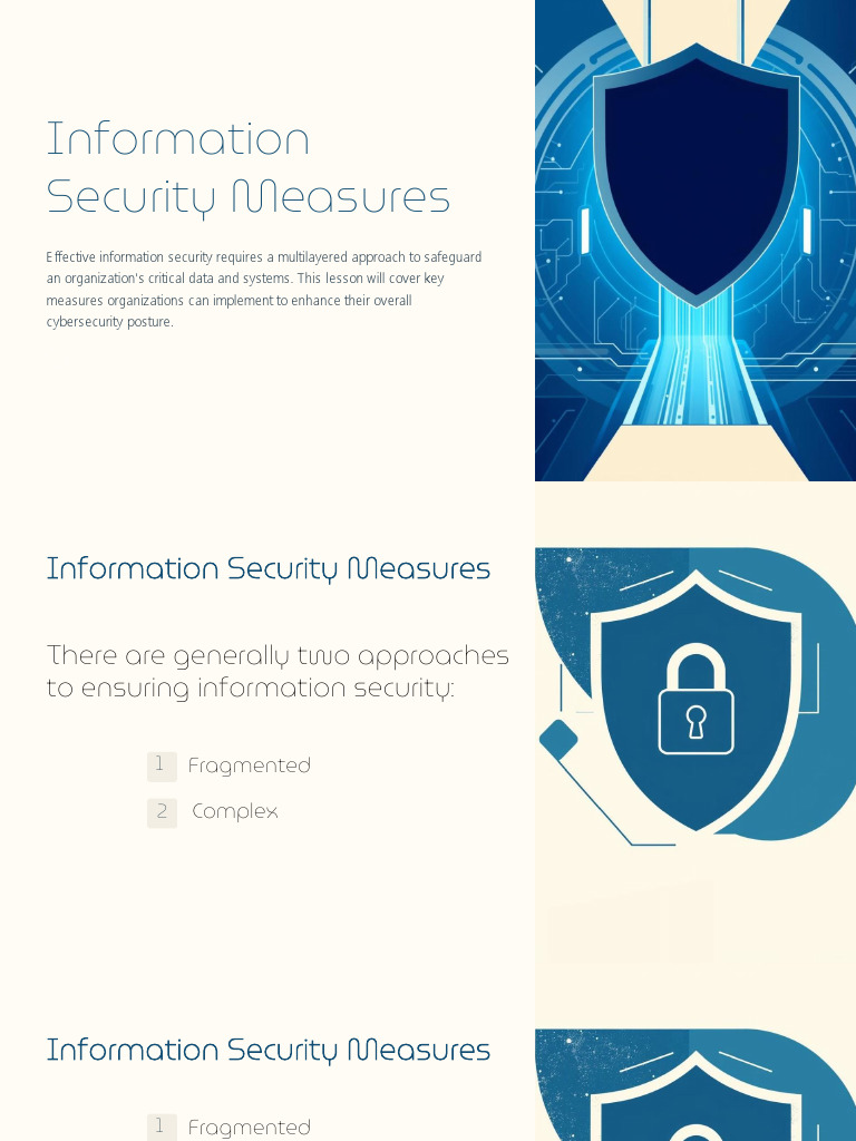 Information Security Measures | PDF | Security | Computer Security