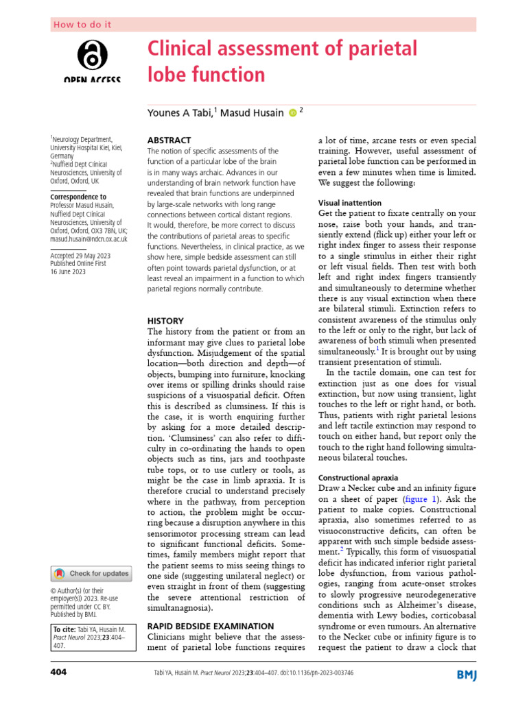 Clinical Assessment of Parietal Lobe Function | PDF | Parietal Lobe ...