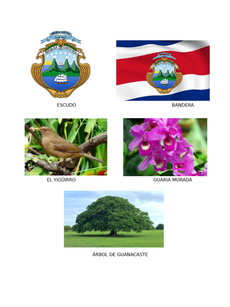 Símbolos Patrios de Costa Rica | PDF