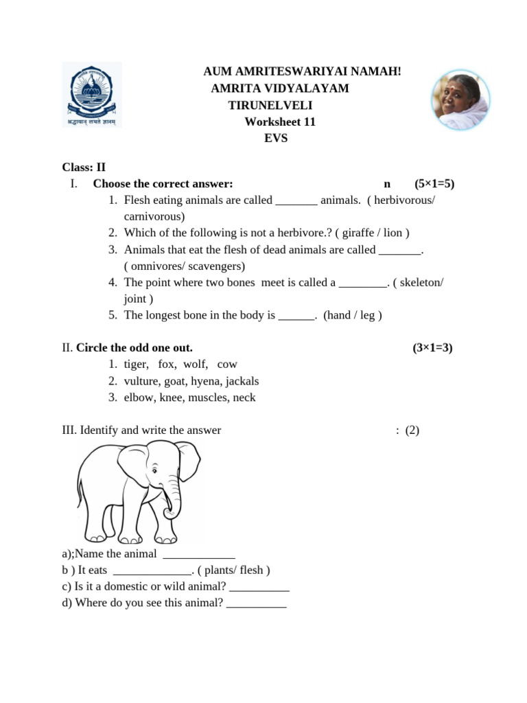 Class 2 Worksheet 11 | PDF
