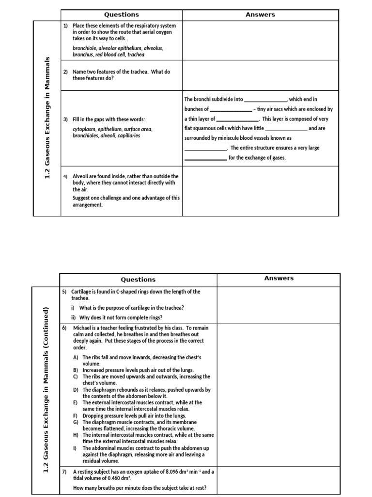 NG 3.1.1 Exchange Surfaces Learning Grid Part 2 | PDF | Breathing | Respiratory System