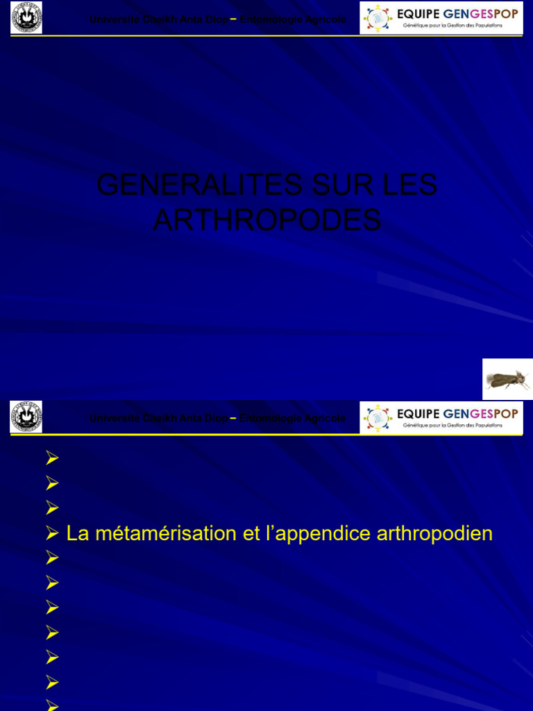 Généralités sur les Arthropodes | PDF | Insectes | Branchie