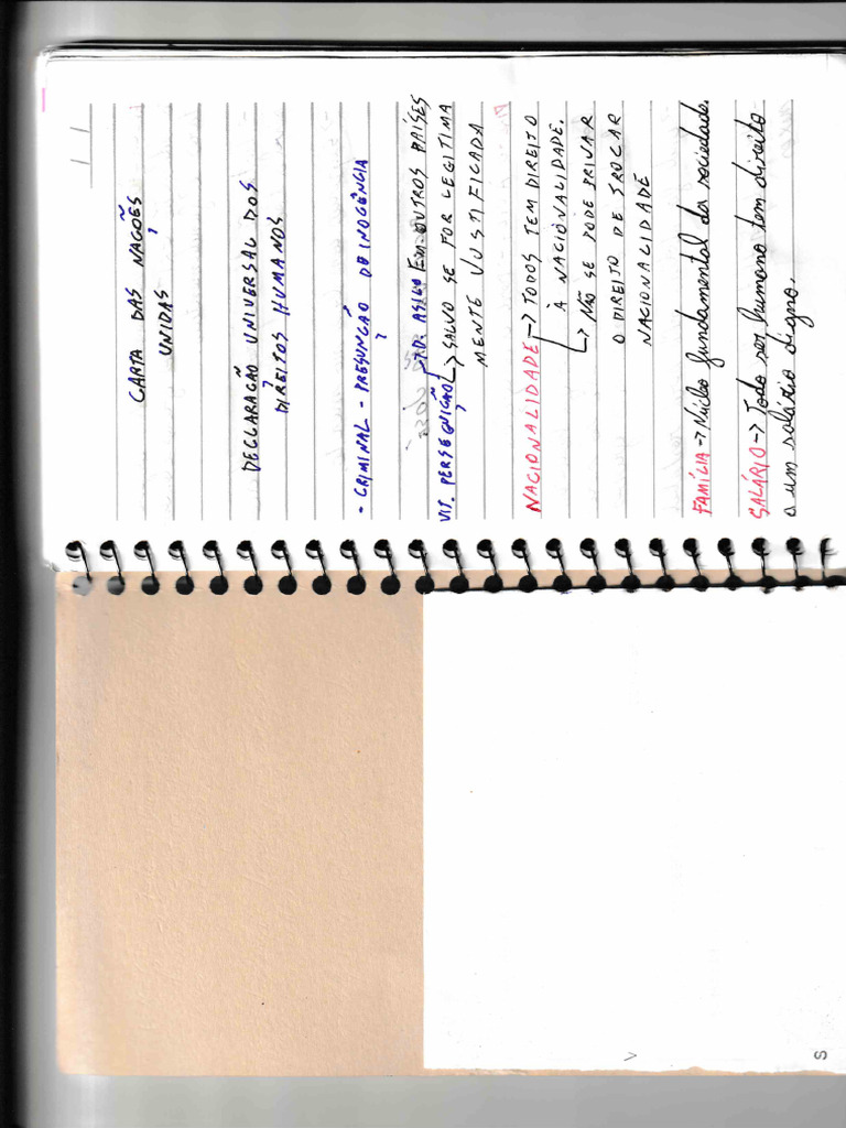 Caderno Manuscrito | PDF