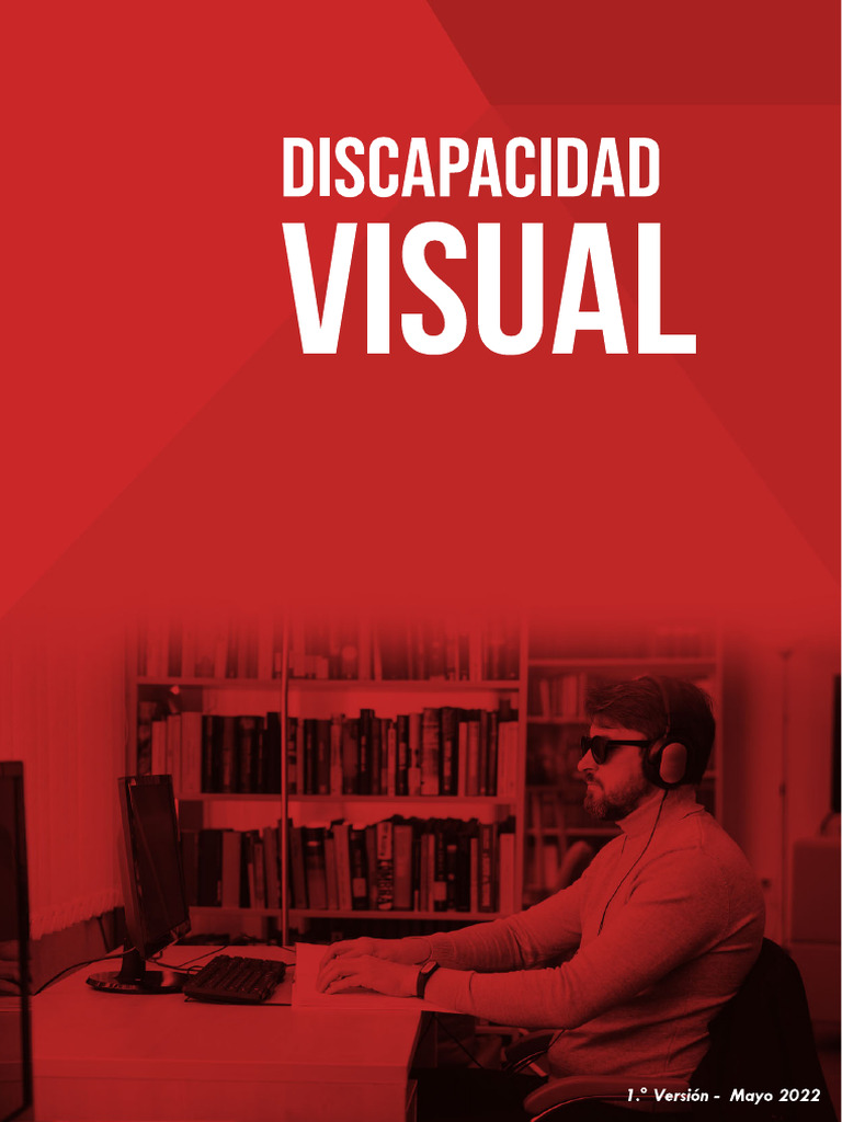 Discapacidad Visual | PDF
