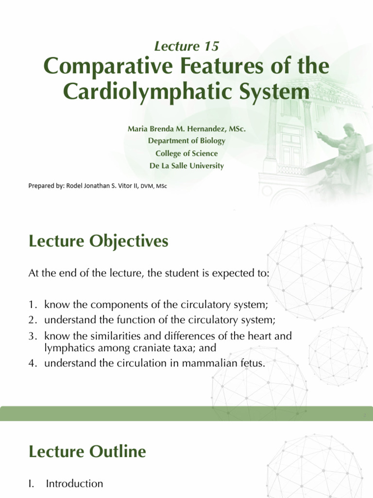 COMPANA Lecture 15 - Comparative Features of The Cardiolymphatic System ...
