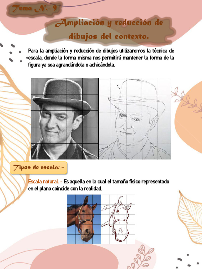 Tema N. - 9 - Ampliaci-N y Reducci-N de Dibujos Del Contexto | PDF