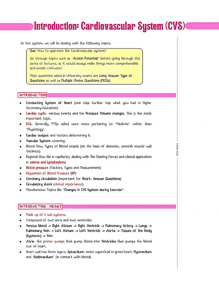 Cardiovascular System | PDF