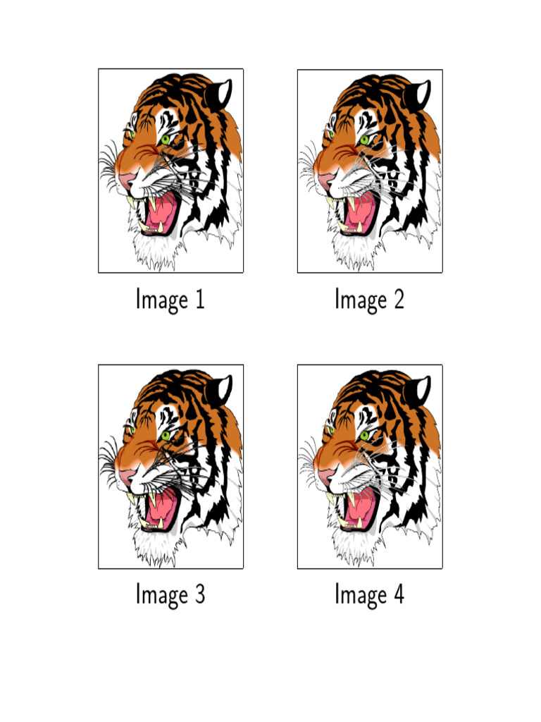 Pix Image | PDF