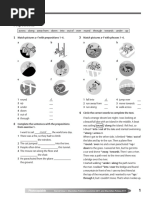 Primary School Grade 4 English Workbook | PDF | Linguistics