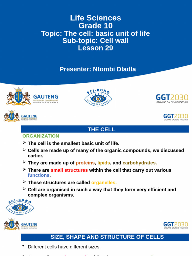 Structure and Functions of Cell Wall | PDF | Cell (Biology) | Cell Wall