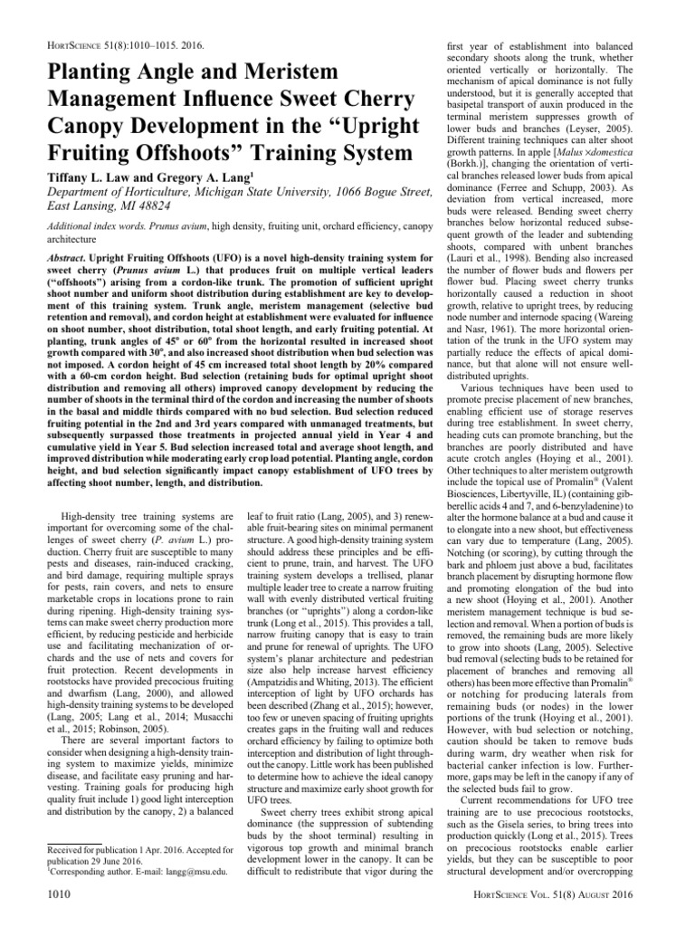 Planting Angle and Meristem Management Influence Sweet Cherry Canopy Development in The "Upright ...