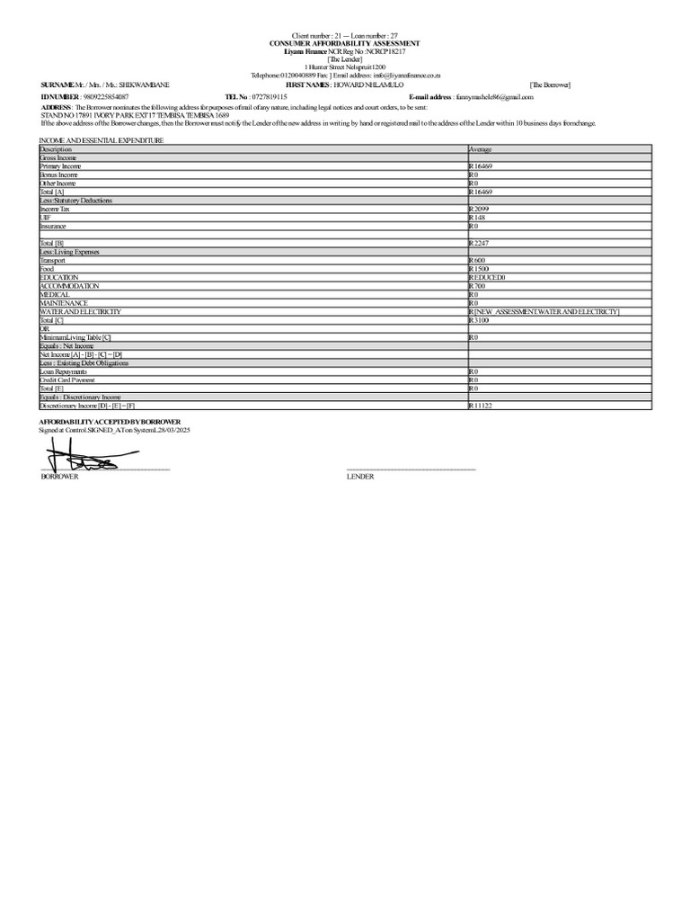 Consumer Affordability Assessment | PDF