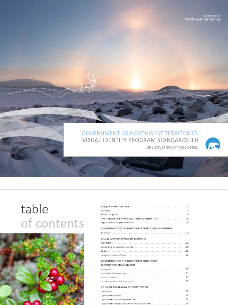 2025 GNWT - Vip - Standards3.0 - Feb2023 | PDF | Typefaces | Serif