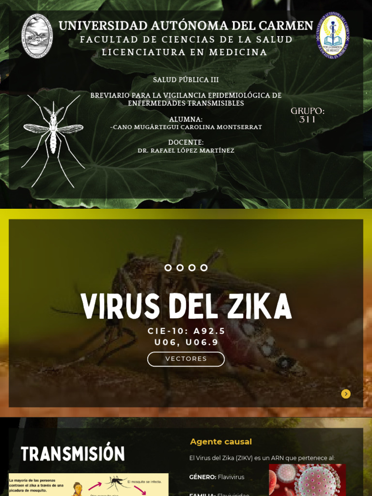 Zika CarolinaC | PDF | Fiebre del zika | Virus Zika