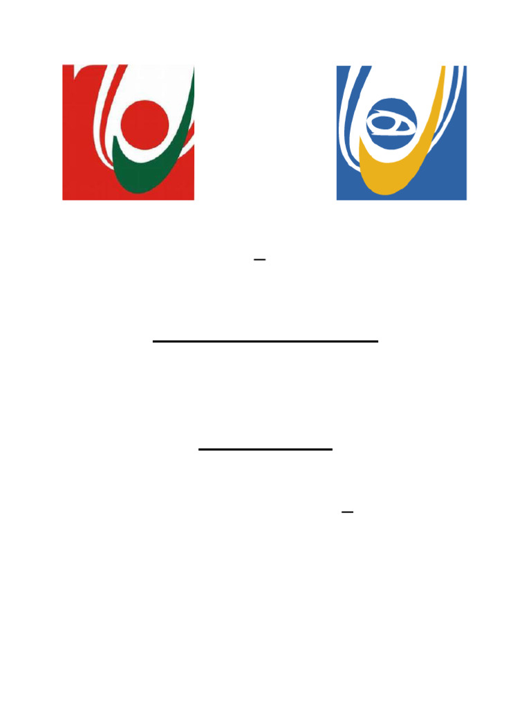 MOM Project 1 Rasha 1 | PDF