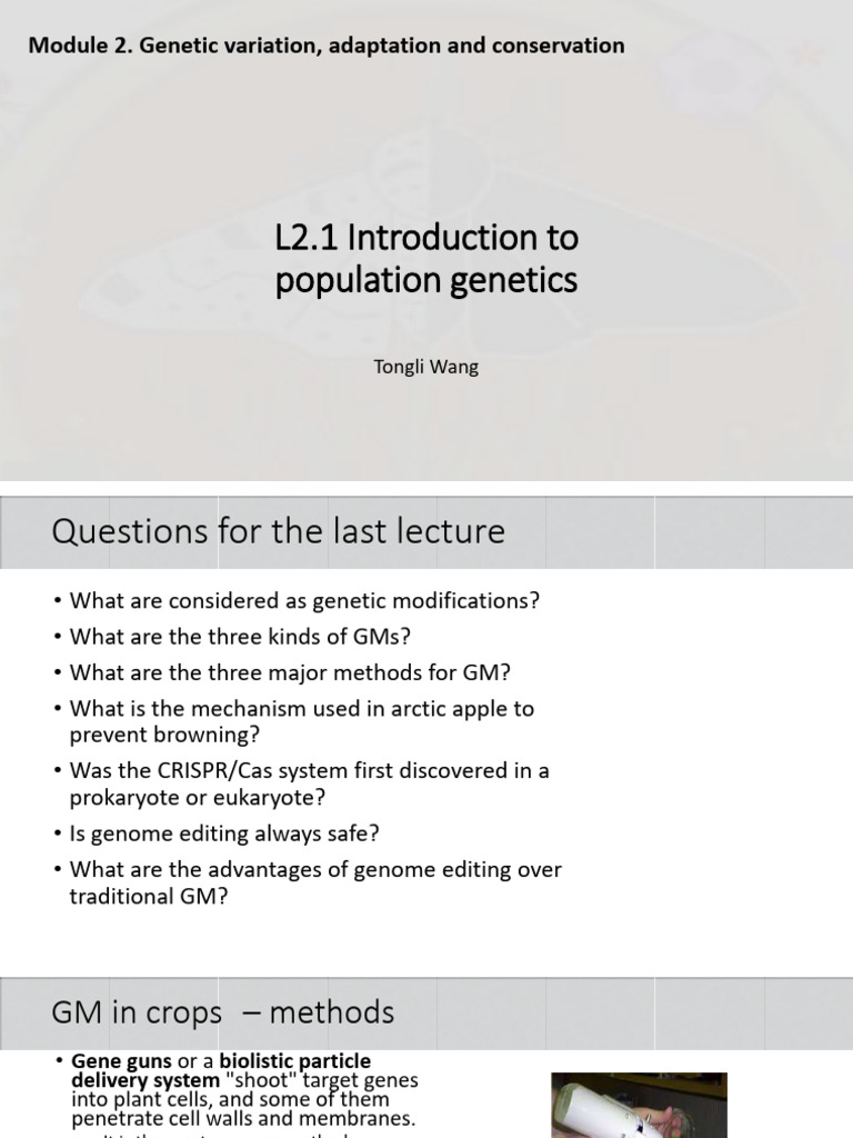 L2.1 Into Population Genetics | PDF | Zygosity | Population Genetics