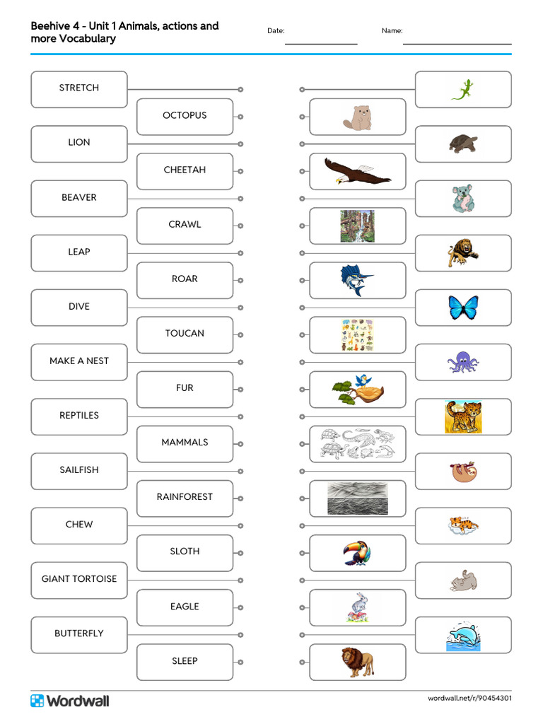 Beehive 4 Unit 1 Animals Actions and More Vocabulary Match Up Line ...