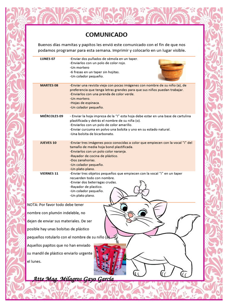 Comunicado Iii Aula Gatitos | PDF