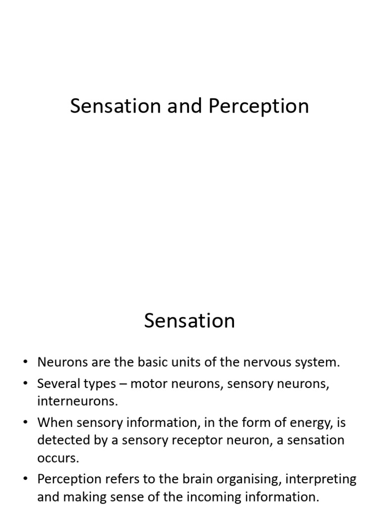 Understanding Sensation and Perception | PDF | Senses | Stimulus ...