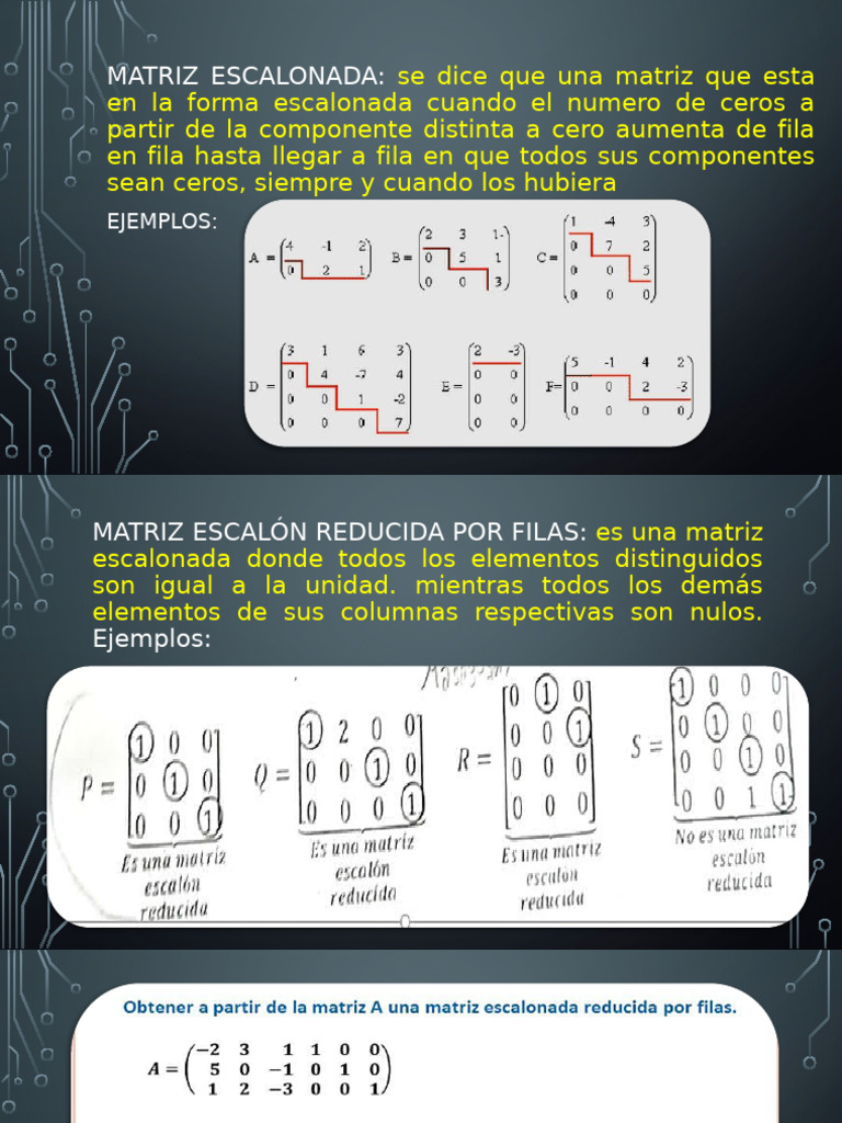 Matriz Escalonada | PDF