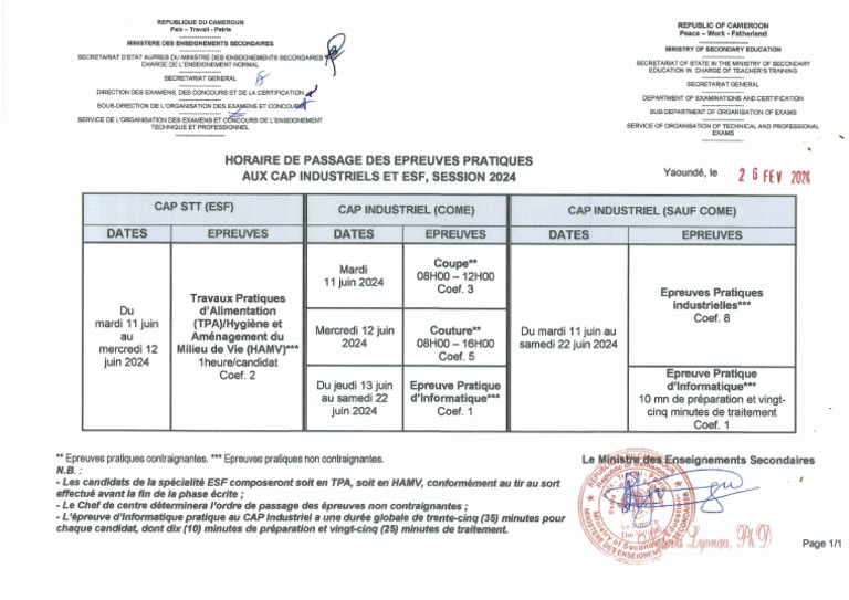 2024 - Pratiques Cap Indsutriel Et Esf | PDF