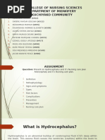 Nursing Care Plan for Hydrocephalus | PDF | Cerebrospinal Fluid ...