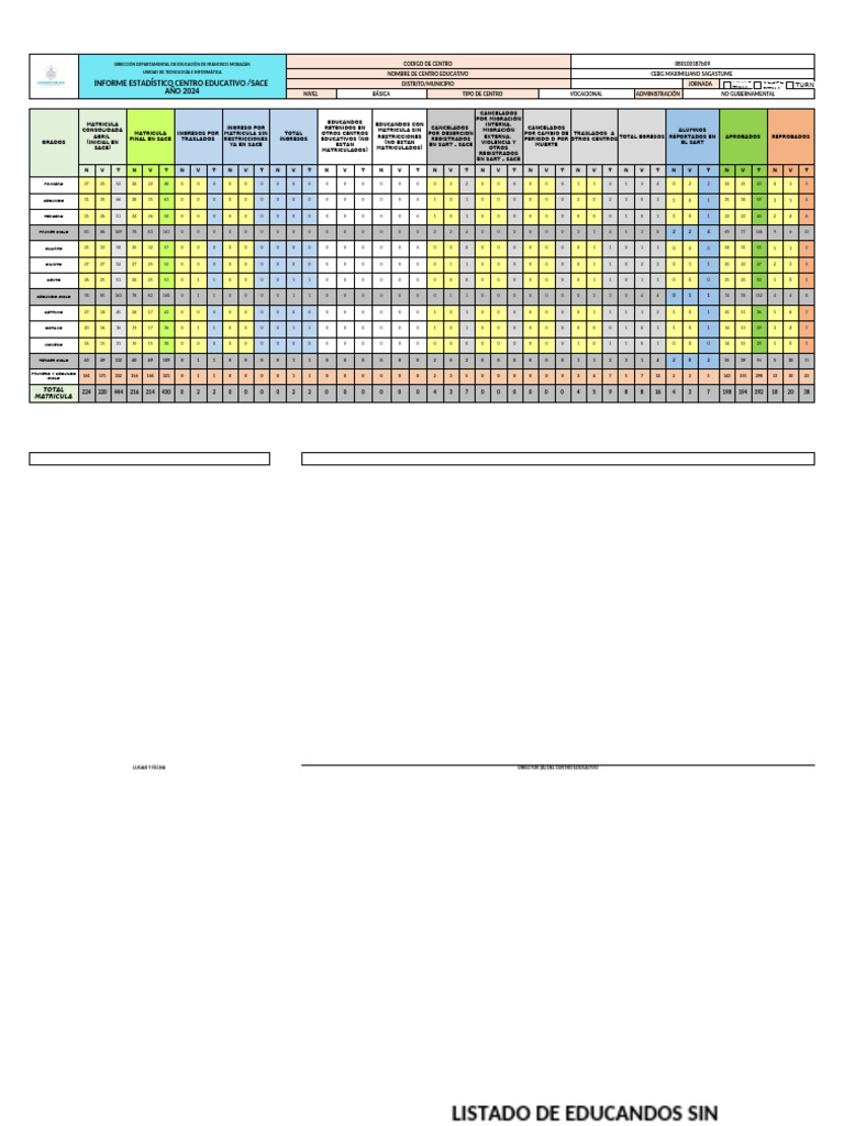 Basica Informe Estadistico Final 2024 | PDF