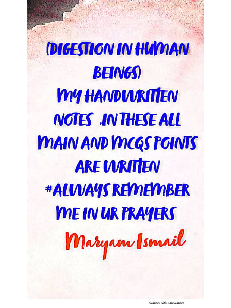 Digestion in Human | PDF